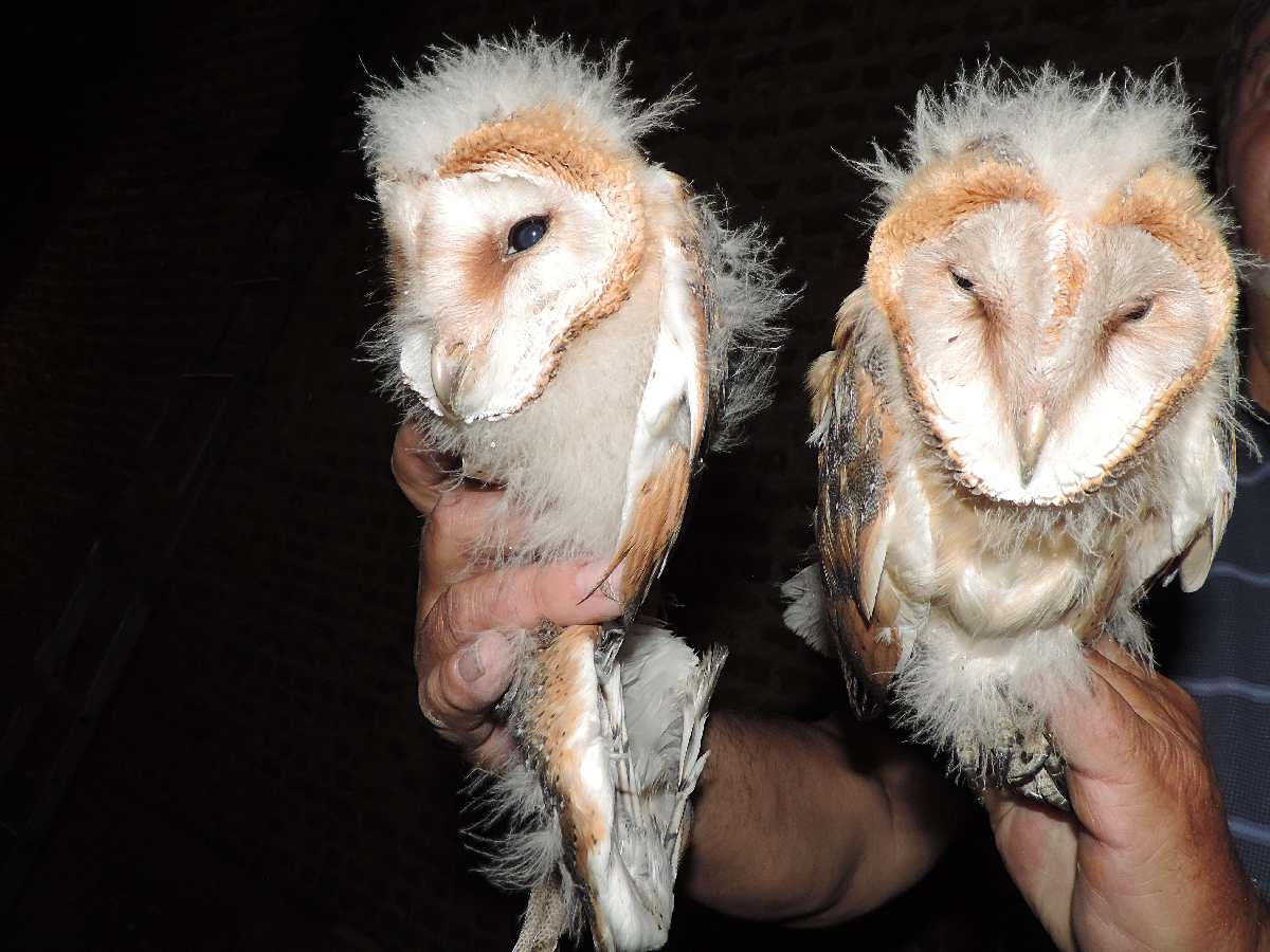 Natuurpunt afdeling Merchtem